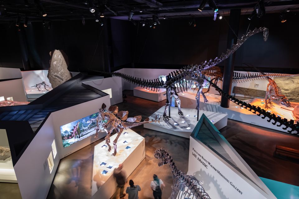 Houston Museum of Natural Science General Admission Ticket - Practical Details and Tips