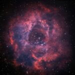 Houston Museum of Natural Sciences: Planetarium Ticket - The Authentic Touch from Visitors