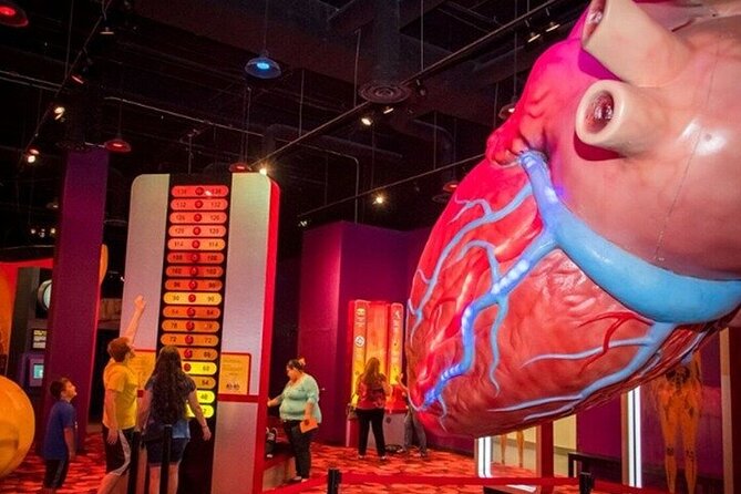 Houston Museum Pass - Practical Tips for Making the Most of the Pass