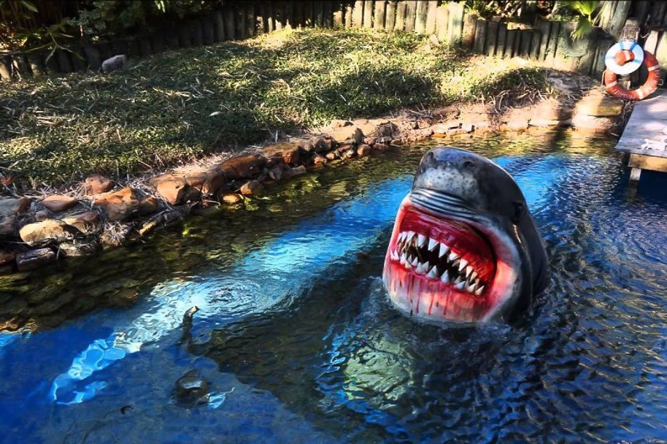 Houston Tour and Aquarium Ticket - Why Choose This Tour?