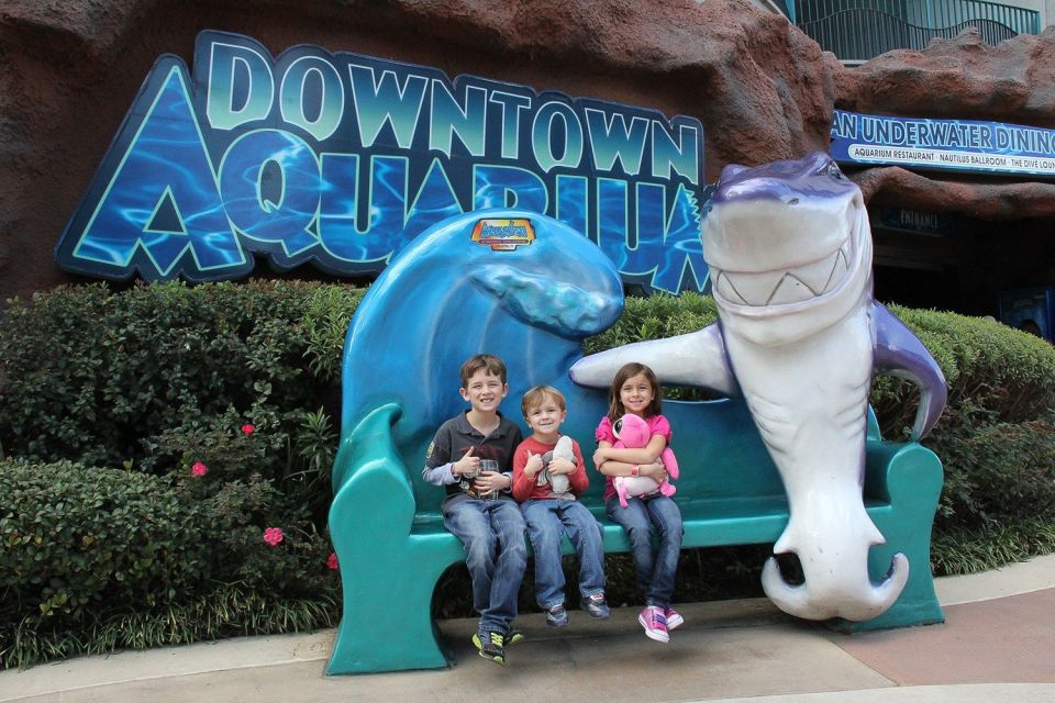 Houston Tour and Aquarium Ticket - Who Will Love This Experience?