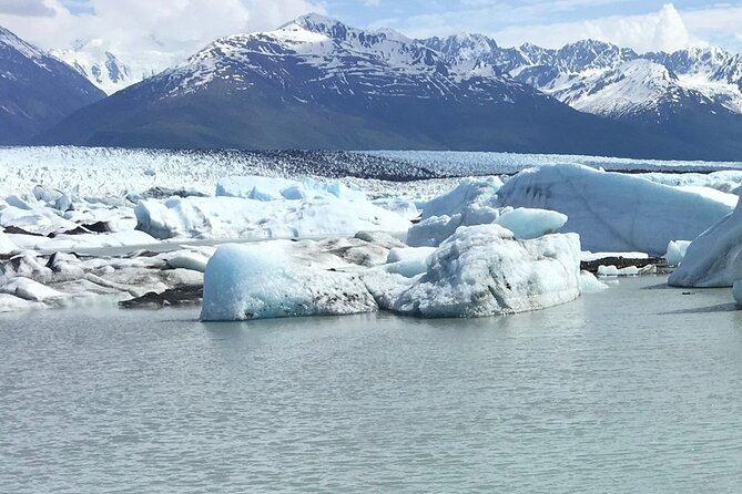 Hover Craft Scenic Tour in Talkeetna, Alaska - Who Will Enjoy This Tour?