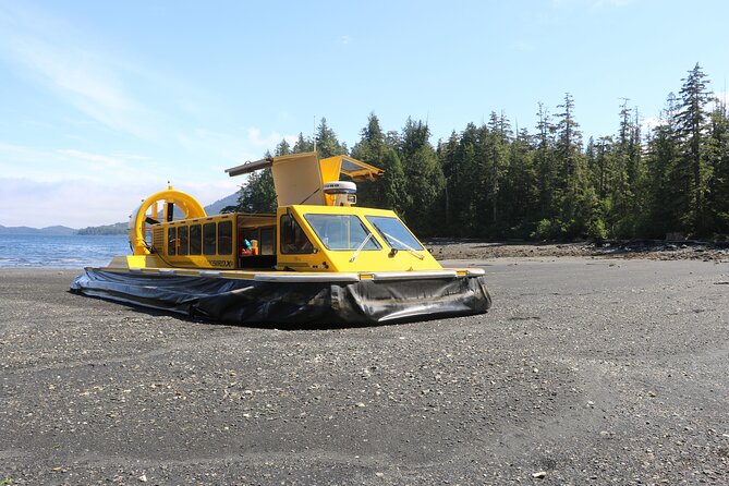 Hovercraft Eco Adventure and Wildlife Viewing - The Experience in Detail