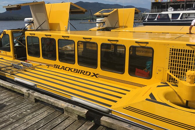 Hovercraft Eco Adventure and Wildlife Viewing - Frequently Asked Questions