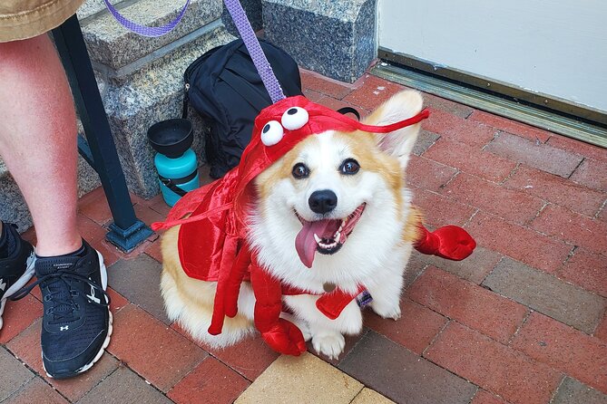 Howl O Ween Doggy Costume Party Cruise - Frequently Asked Questions