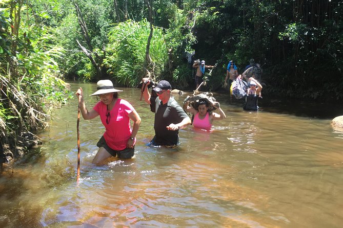 Huakai Iki - Little Hiking Adventure - The Experience: What You’ll Love