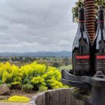 Hurray for Hollywood, Woodinville Winery Pass - In-Depth Look at the Itinerary and Wineries