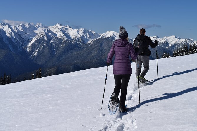 Hurricane Ridge Guided Snowshoe Tour in Olympic National Park - An In-Depth Look at the Hurricane Ridge Snowshoe Tour