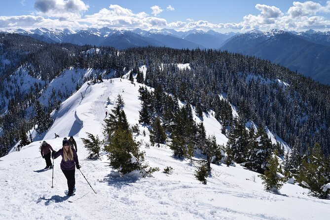 Hurricane Ridge Guided Snowshoe Tour in Olympic National Park - Why This Tour Might Be Perfect for You