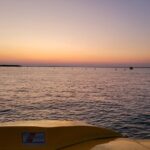 Hydro Rocket Dolphin Sightseeing Boat Tour from Destin - Crab Island and the Return