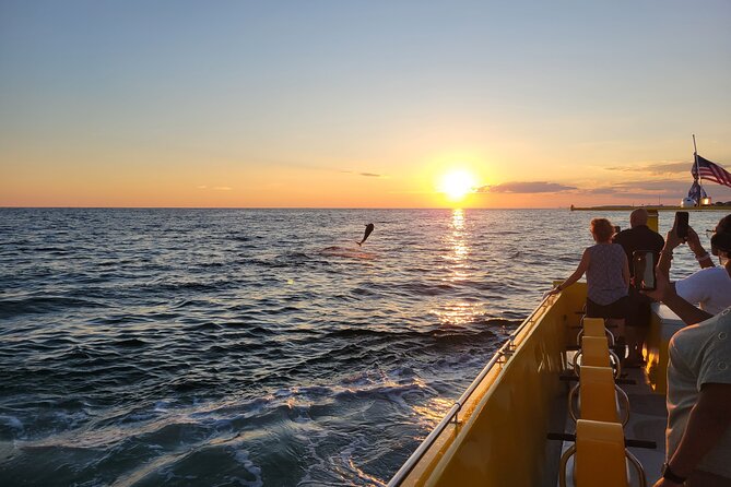 Hydro Rocket Dolphin Sightseeing Boat Tour from Destin - Practical Tips