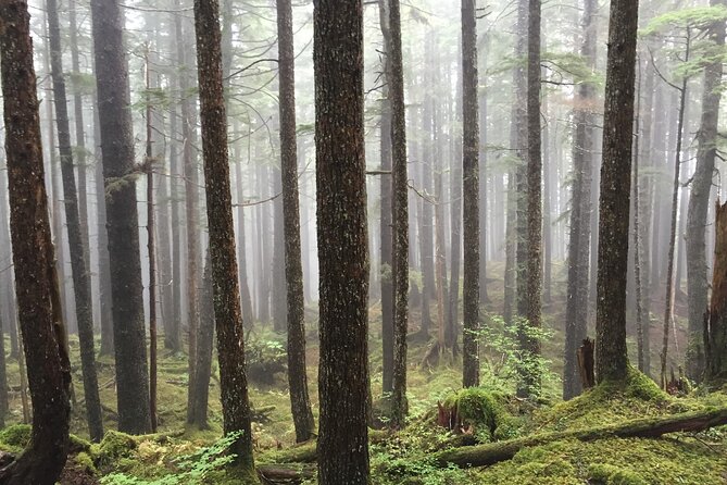 Icy Strait Village Tour and Crab Feast - FAQ