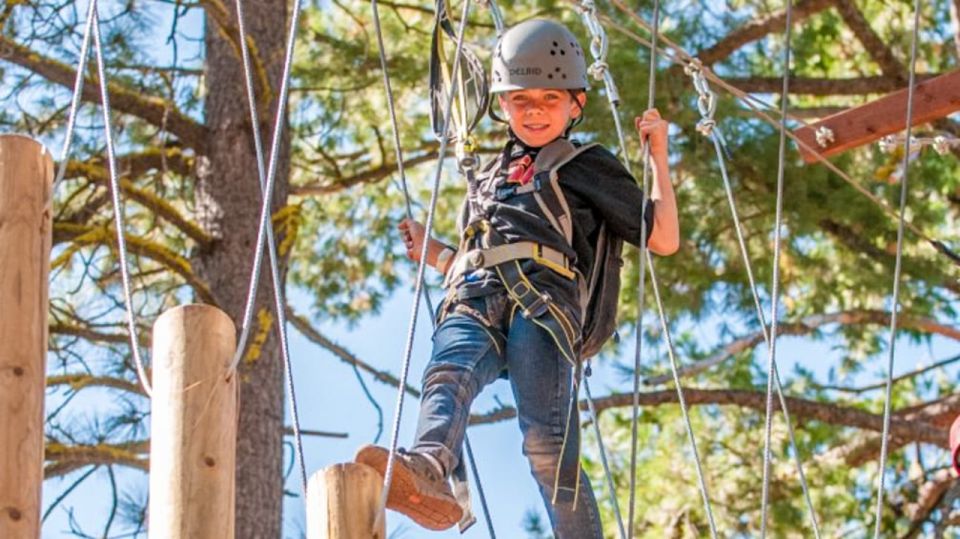 Idaho Springs: Ropes Challenge Course Ticket - An Authentic Colorado Adventure