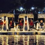 Illuminated Swan Boat Night Ride on Rainbow Lagoon - Who Should Consider This Tour