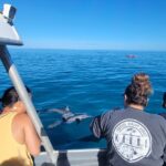 'Imiloa Express N Pali Snorkel Tour - Who This Tour Is Perfect For