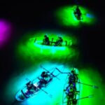 Inclusive Glass Boat Rental Peanut Island Snorkel Gear & Snacks - What to Expect from Your Peanut Island Water Adventure