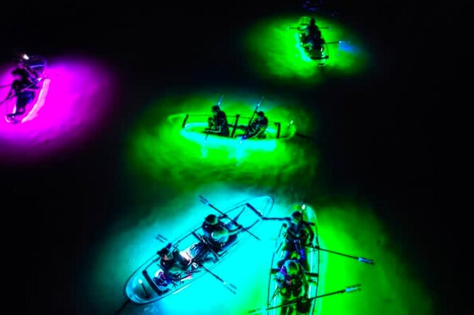 Inclusive Glass Boat Rental Peanut Island Snorkel Gear & Snacks - What to Expect from Your Peanut Island Water Adventure