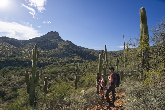 Incredible Hidden Valley Guided Hike in Phoenix, Arizona - Practical Details and Booking Tips