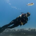 Incredibly Fun 2-Tank Boat Dive from Waikiki -Beginners Welcome - The Sum Up