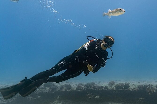 Incredibly Fun 2-Tank Boat Dive from Waikiki -Beginners Welcome - The Sum Up