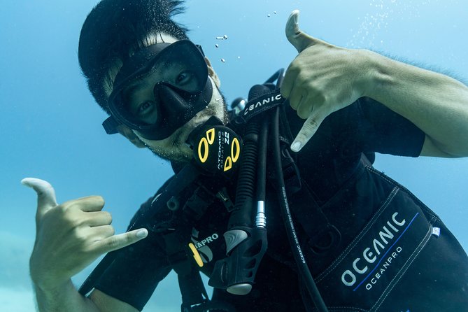 Incredibly Fun 2-Tank Coral Reef South Shore Boat Dive in Oahu from Waikiki - What to Expect on the Tour