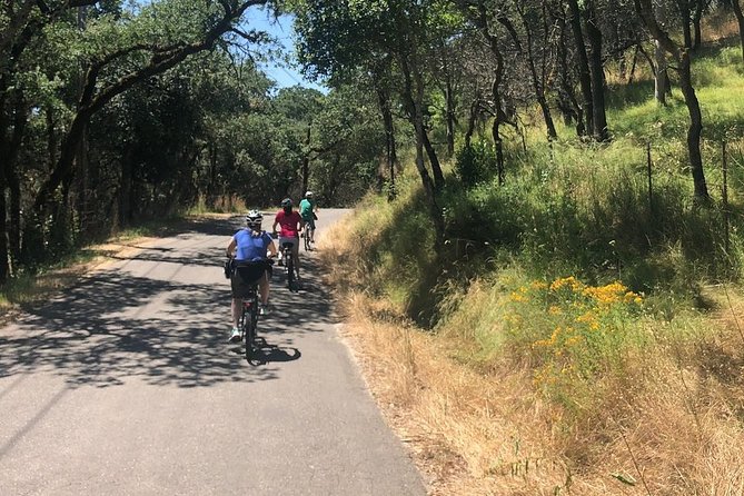 Independent Hassle-free Bike Rental in Sonoma - What’s Included and What’s Not?