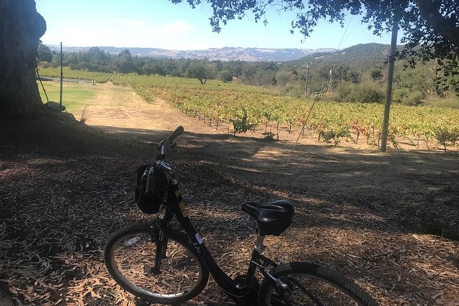 Independent Hassle-free Bike Rental in Sonoma - The Experience: What to Expect