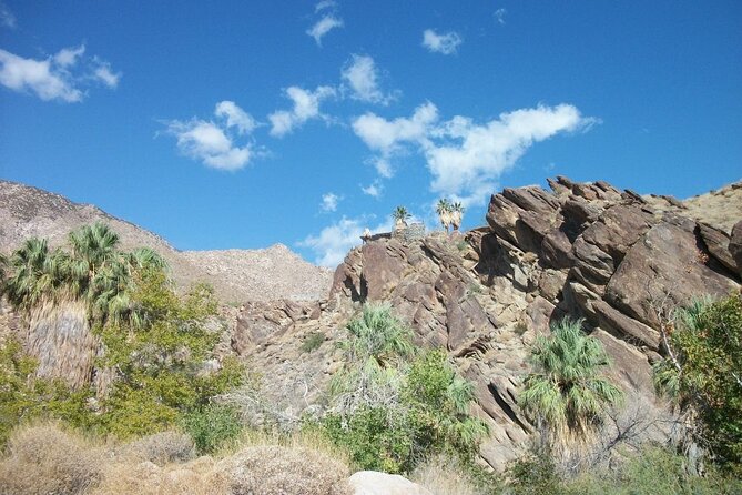 Indian Canyons Hiking Tour by Jeep from Palm Desert - The Itinerary: What You Can Expect