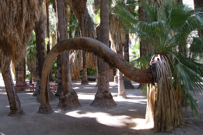 Indian Canyons Hiking Tour by Jeep from Palm Desert - Frequently Asked Questions (FAQs)