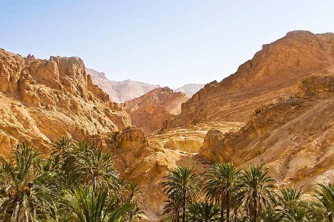 Indian Canyons Hiking Tour by Jeep from Palm Springs - The Itinerary in Detail: What You Can Expect
