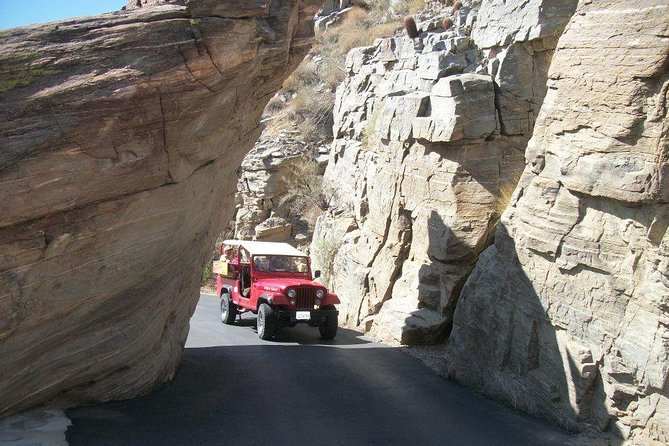 Indian Canyons Hiking Tour by Jeep from Palm Springs - Final Thoughts