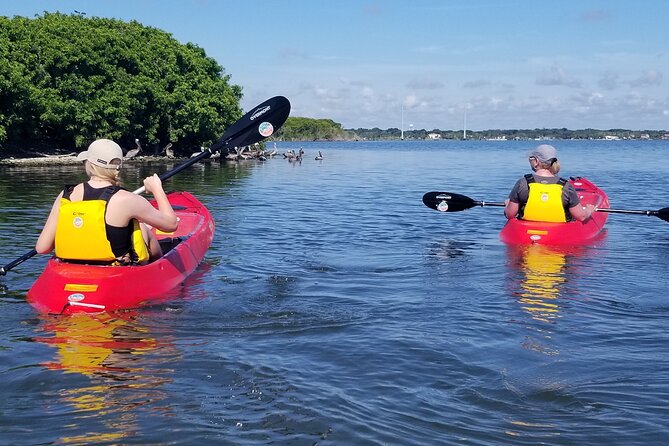 Indian River Clear Bottom Kayak or Paddleboarding Manatee and Dolphin Tour - Key Points