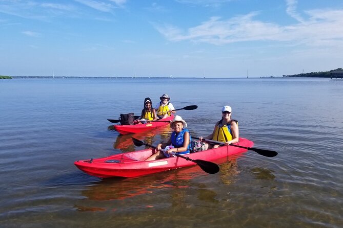 Indian River Clear Bottom Kayak or Paddleboarding Manatee and Dolphin Tour - Why This Tour Offers Great Value