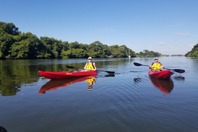 Indian River Clear Bottom Kayak or Paddleboarding Manatee and Dolphin Tour - Final Thoughts