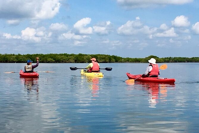 Indian River Lagoon Preserve Kayak Tour - Indian River Lagoon Preserve Kayak Tour: A Natural Escape in Daytona Beach