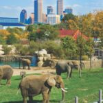 Indianapolis: 3-Day Indy Attraction Pass - How Does This Pass Compare?