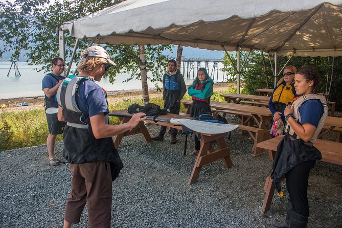 Inside Passage Sea Kayaking from Skagway - Deep Dive Into the Experience