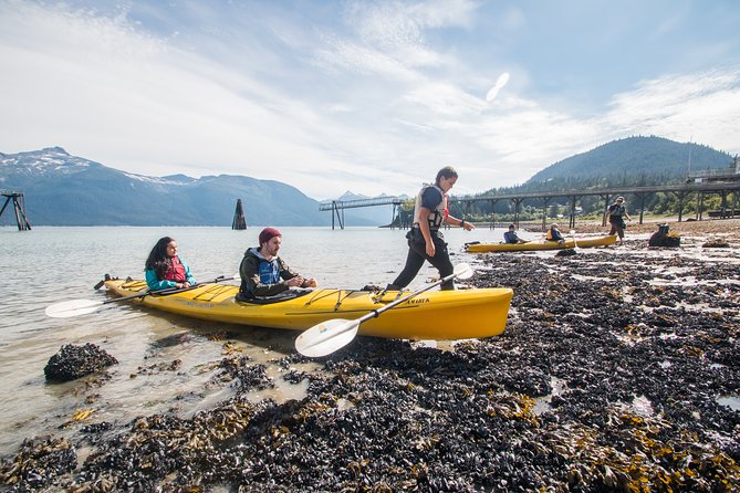 Inside Passage Sea Kayaking from Skagway - The Sum Up