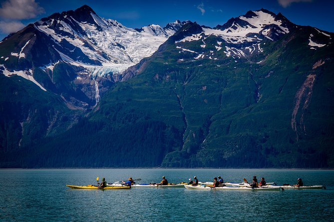 Inside Passage Sea Kayaking in Haines - The Value of This Experience  