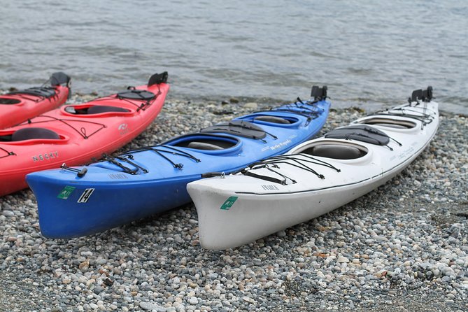 Inside Passage Sea Kayaking in Haines - Booking and Practical Details