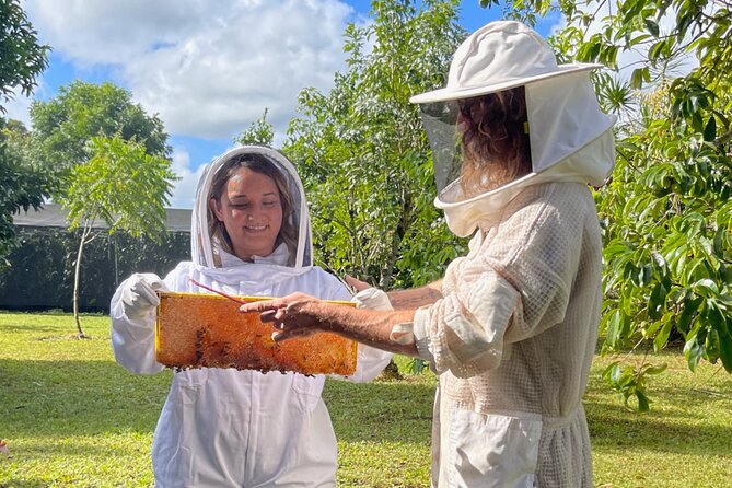 Inside the Hive: Kauai Honey and Bee Tour - An In-Depth Look at the Kauai Honey and Bee Tour