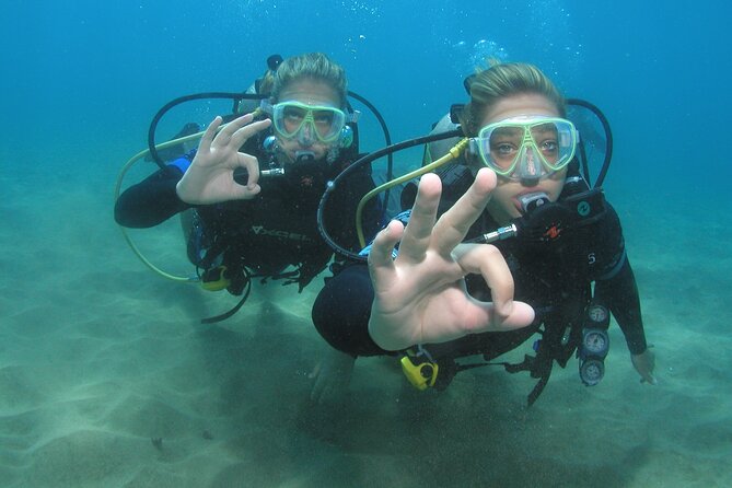 Intro/Refresher Dive Swim Ability Required - Who Should Book This Tour?