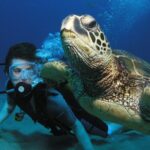 Intro/Refresher Dive Swim Ability Required - Final Thoughts on Value and Suitability
