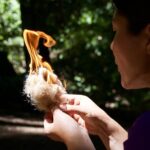 Introduction to Wilderness Survival Clinic in Santa Cruz - The Practicalities: Details That Matter