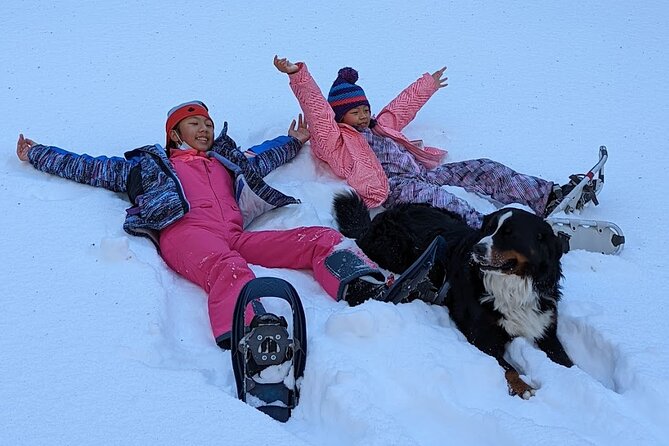 Introductory Guided Snowshoe Tour - Key Points