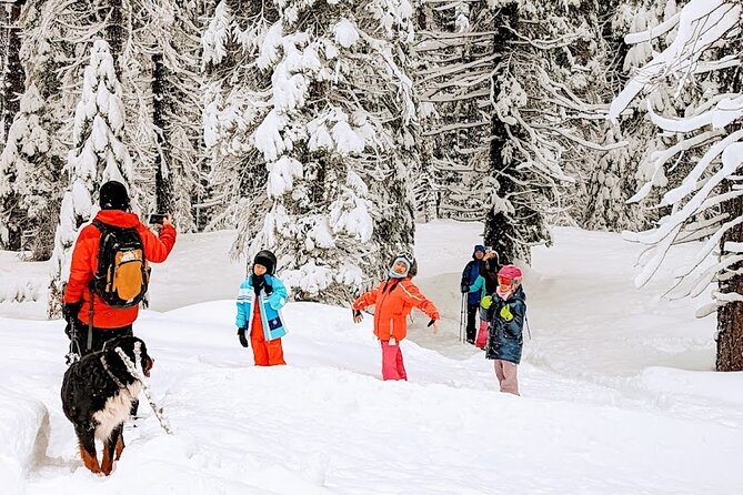 Introductory Guided Snowshoe Tour - Itinerary Breakdown