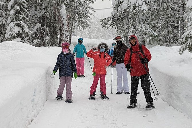 Introductory Guided Snowshoe Tour - What to Expect During the Tour