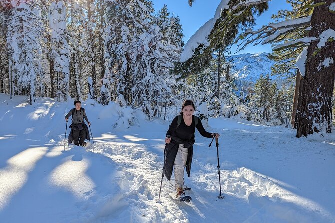 Introductory Guided Snowshoe Tour - Practical Details and Considerations