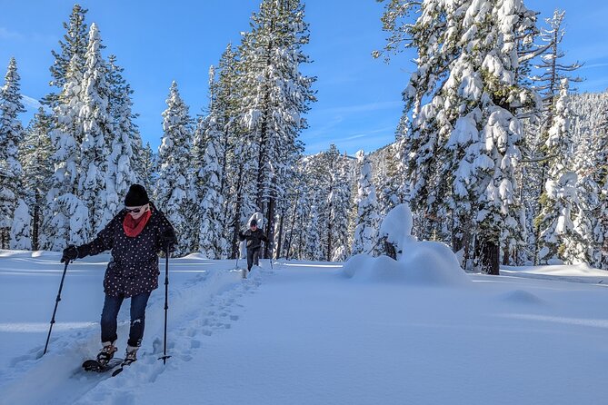 Introductory Guided Snowshoe Tour - Who Would Love This Tour?