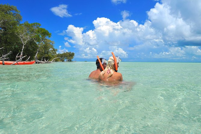 Island Adventure Eco Tour  Explore Key Wests Hidden Backcountry - What Could Be Better?